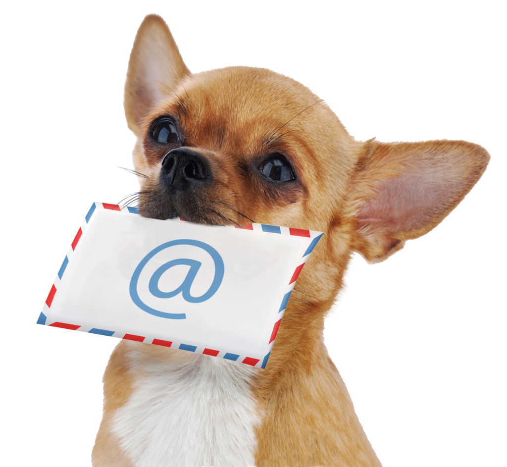 Contact – WIsconsin Dog Fair